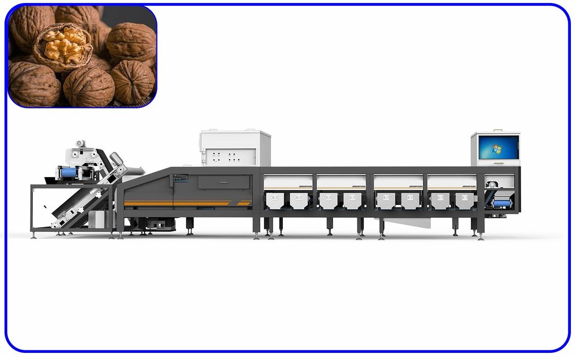 Mechanischer 16 Kanal-Walnuss-Sortierer optische sortierende Maschine ...